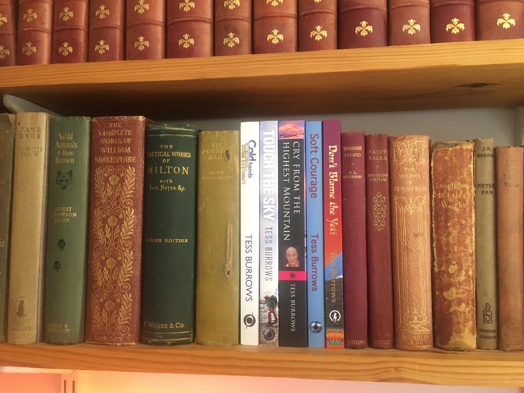 Once upon an Adventure | News | Tess Burrows