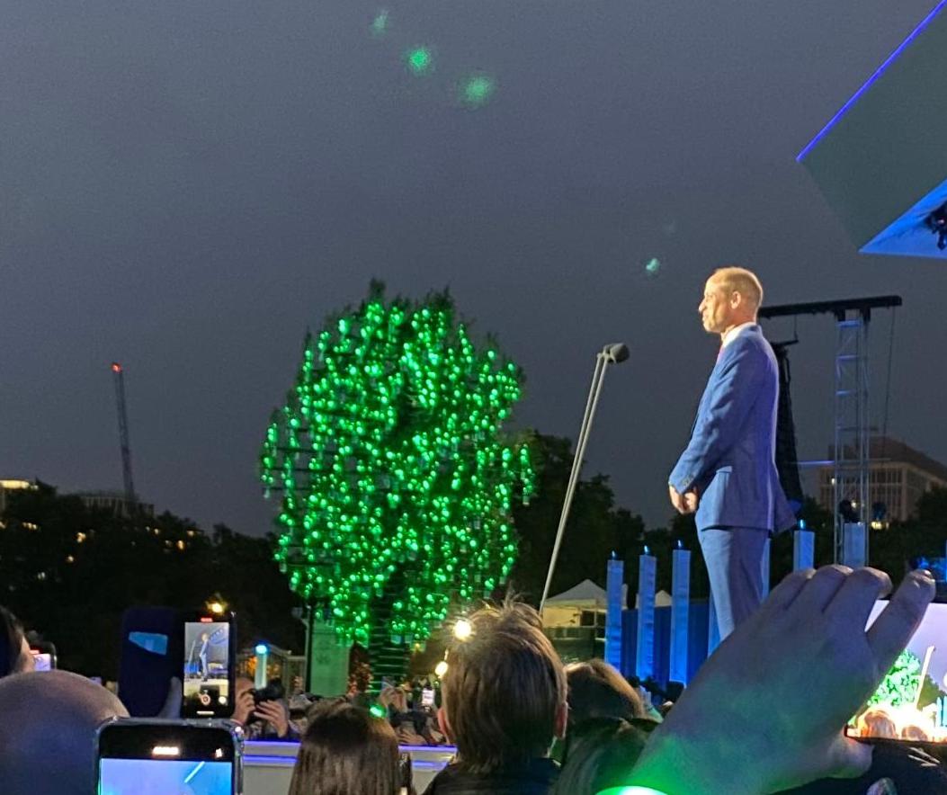 Tree Of Light | News | Tess Burrows