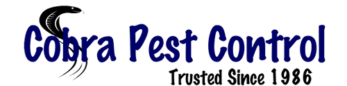 Tick Control Services in Rhode Island: Rhode Island Tick Control