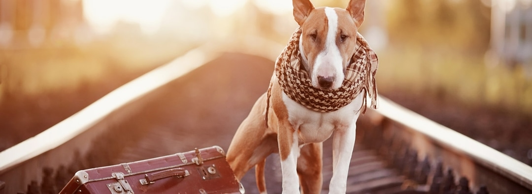 Presentation Design: What To Do With Orphan Slides | KOAD