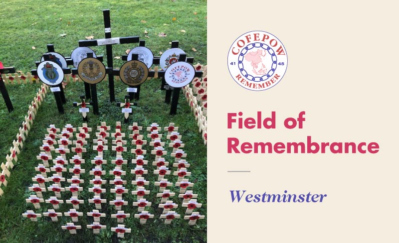 Field of Remembrance Plot