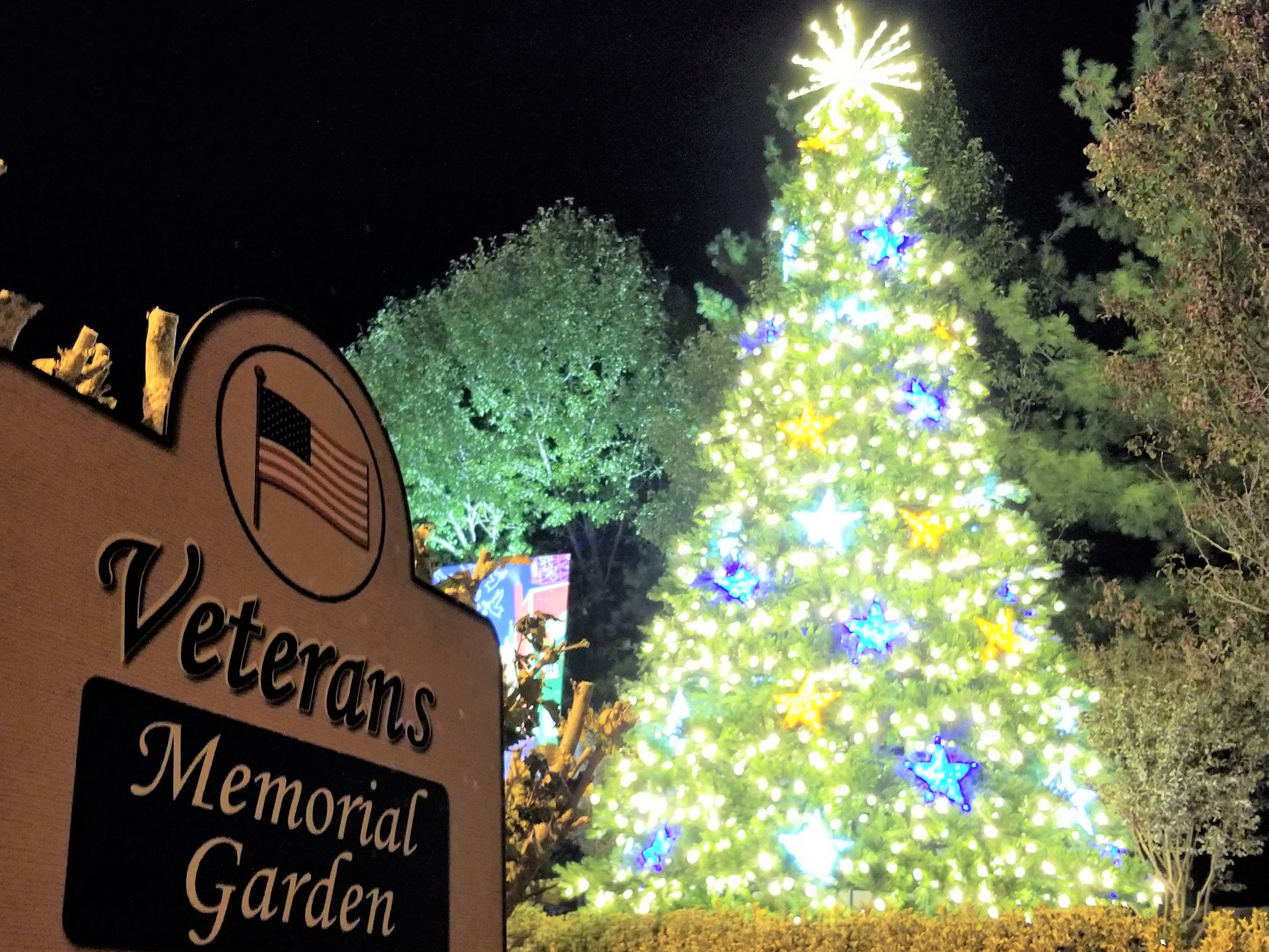 Order Your Giant Everest Tree Now for 2018