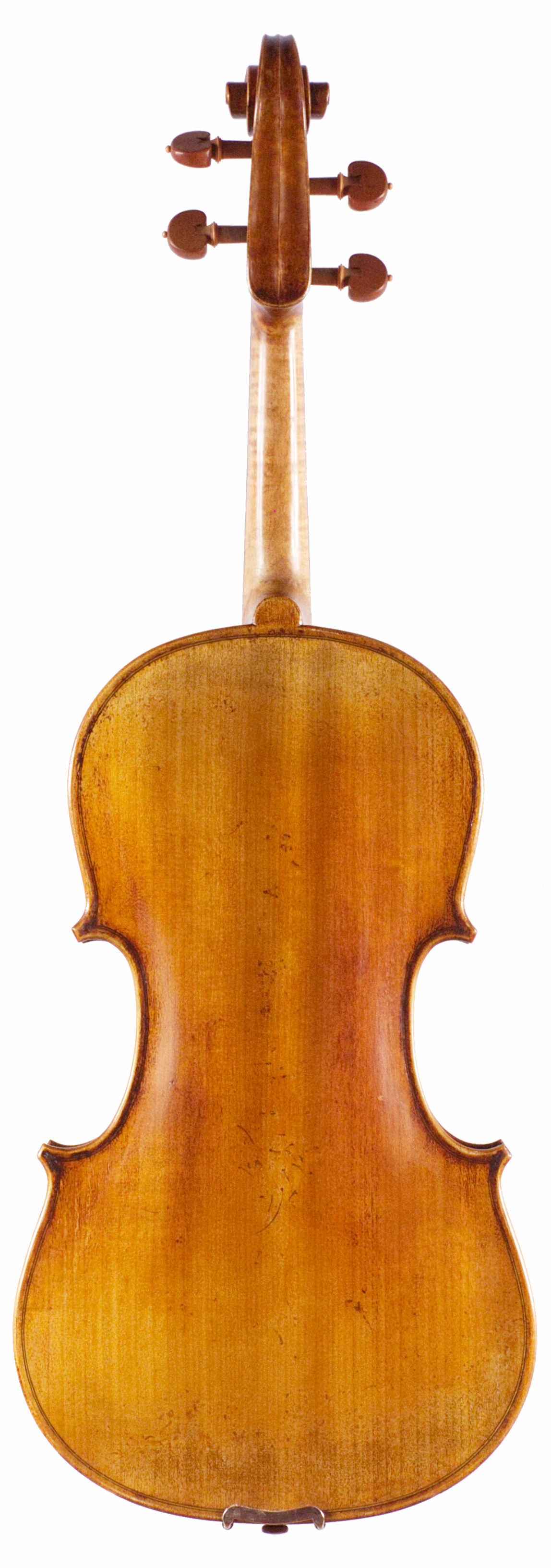Violas