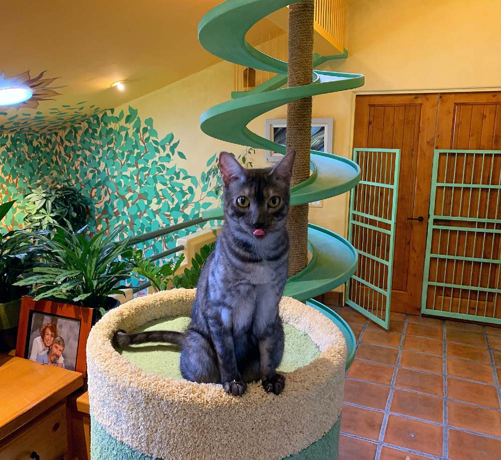 Smokey doing his stretching while eating snacks