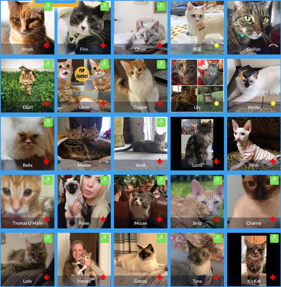 Honoring a Fallen FIP Angel named Henry