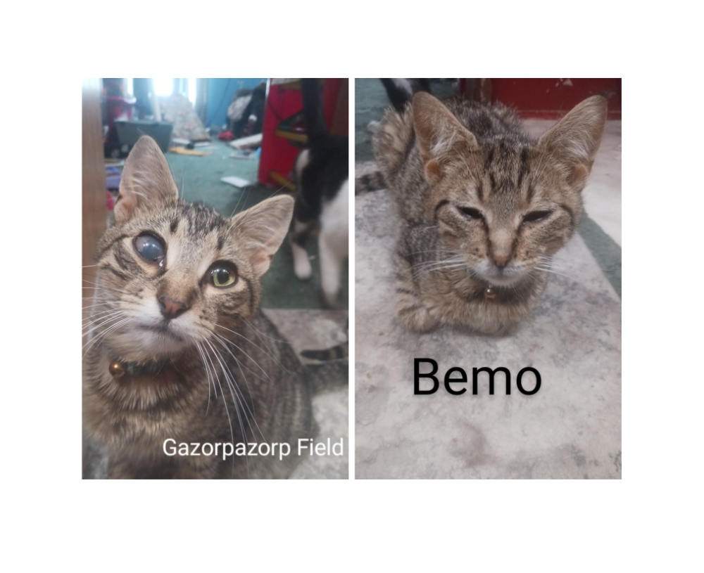 Gazorpazorp Field and Bemo