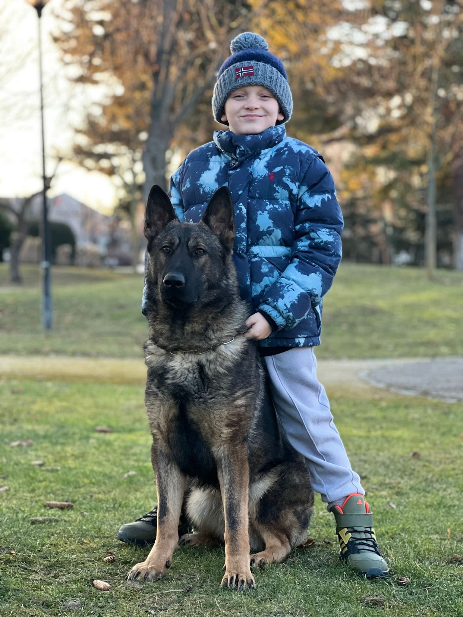 Protection Dogs by CPI - Polo - Sold to: Client in Colorado Springs, CO