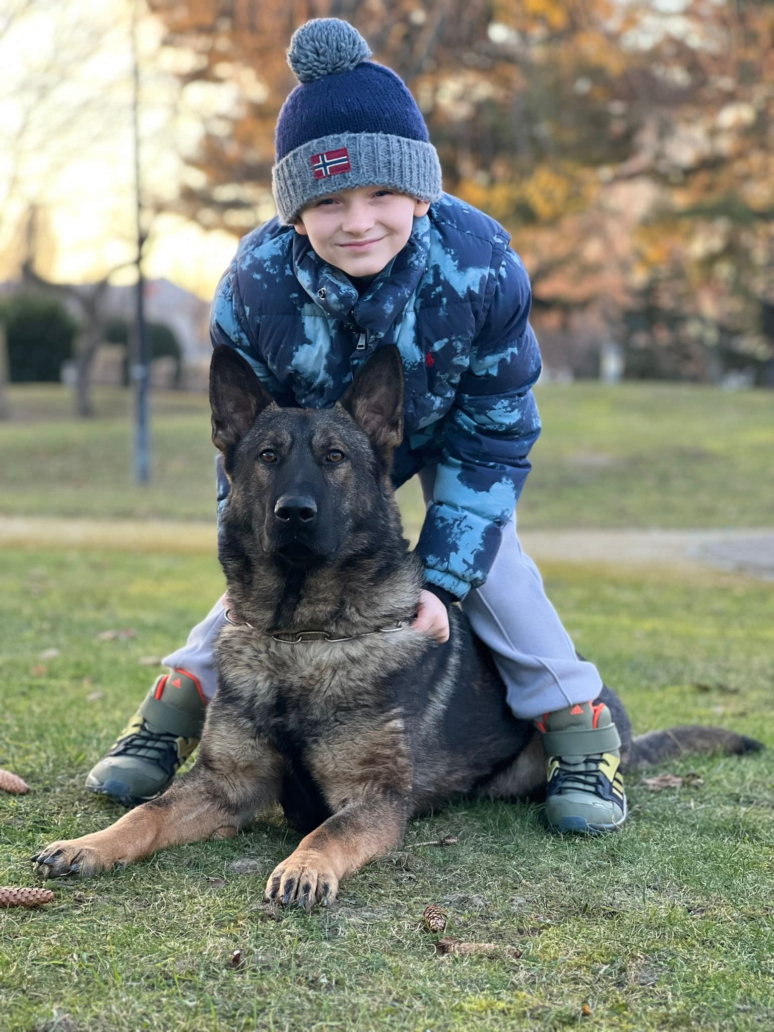 Protection Dogs by CPI - Polo - Sold to: Client in Colorado Springs, CO