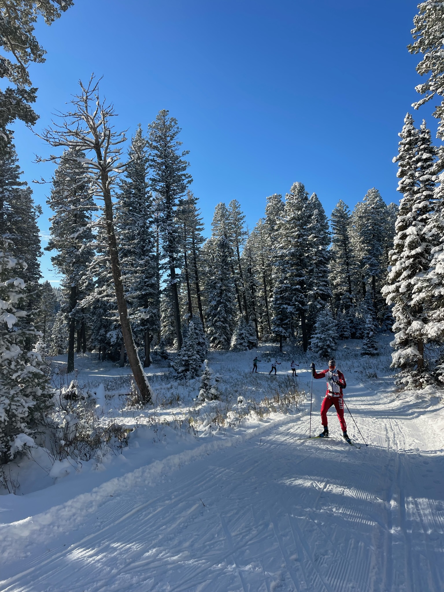 Bridger Ski Foundation