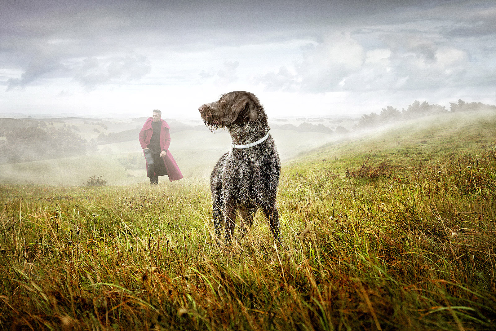 Chris Frazer Smith Photography