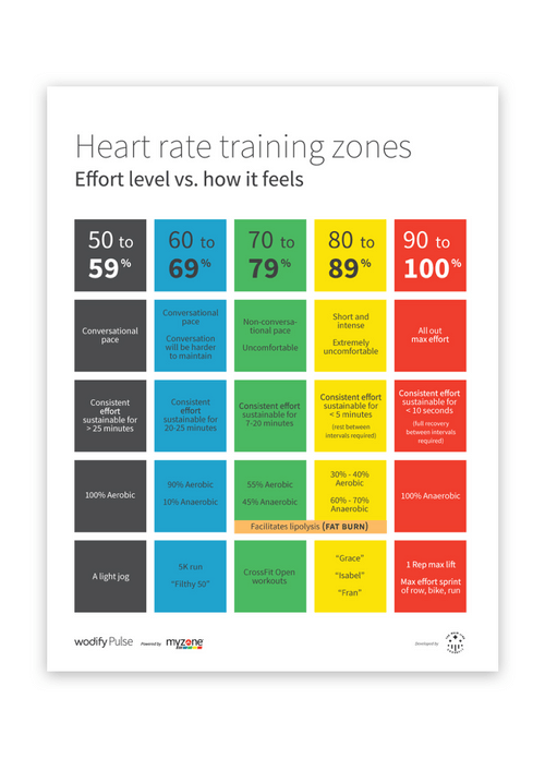 Poster: Training Zones | Wodify Pulse Marketing Resources