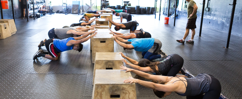 The Wodify Workout Marketplace - CrossFit Affiliate Programming