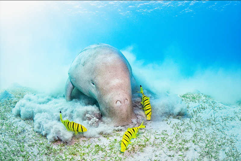 2015 Winners Gallery