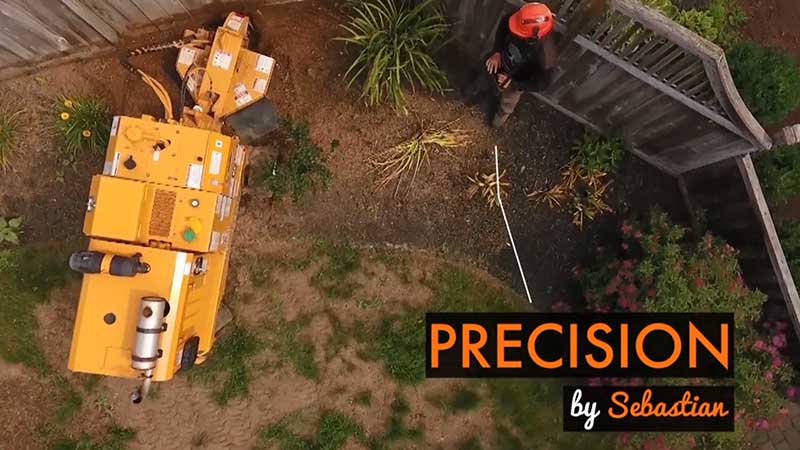 Princeton Tree Care - Premier Tree Service & Removal