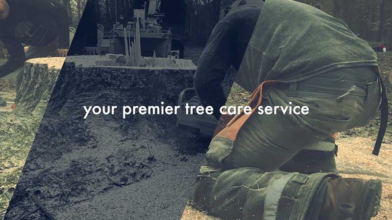 Princeton Tree Care - Premier Tree Service & Removal