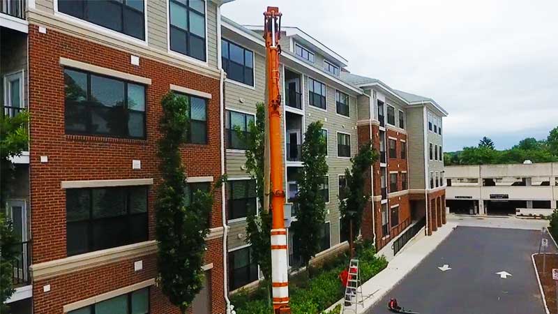 Princeton Tree Care - Premier Tree Service & Removal