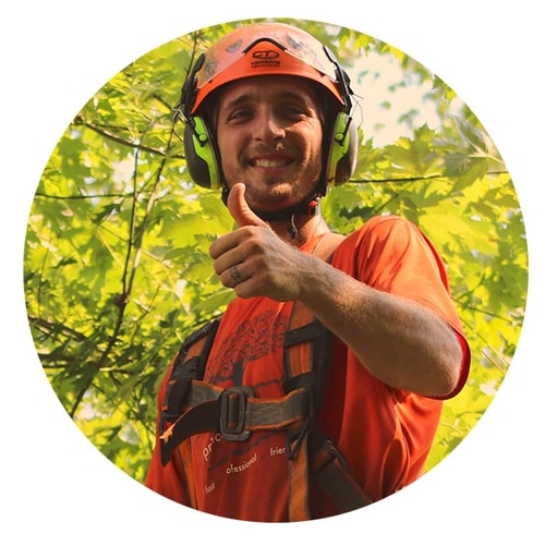 Princeton Tree Care - Premier Tree Service & Removal