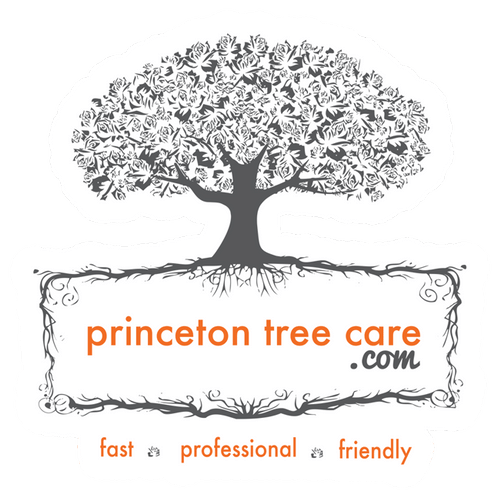 Princeton Tree Care - Premier Tree Service & Removal