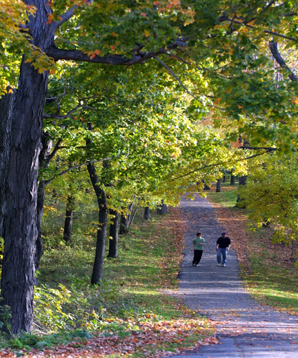 Mount Royal Park | Parks