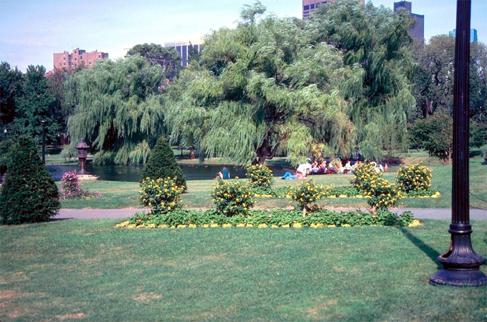 Boston Common & Public Gardens | Parks