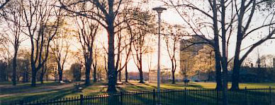 Dufferin Grove Park | Parks