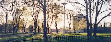 Dufferin Grove Park | Parks