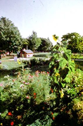 Dufferin Grove Park | Parks