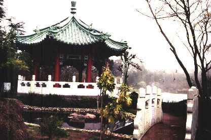 Golden Gate Park | Parks