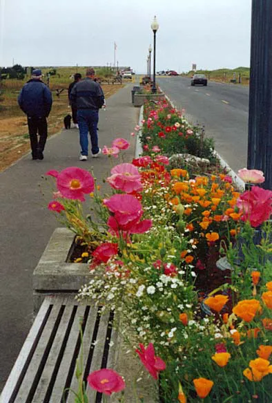 Long Beach Approach | Streets & Transportation