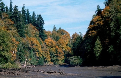 Priest Point Park