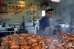Washington DC Fish Market | Public Markets