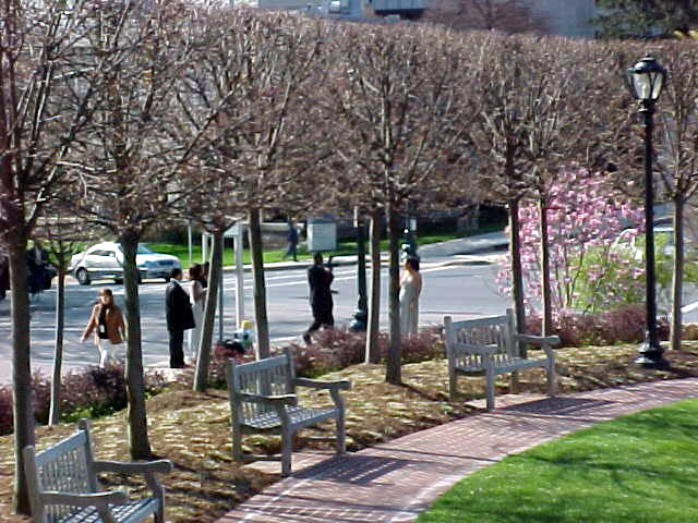 Courthouse Square Park