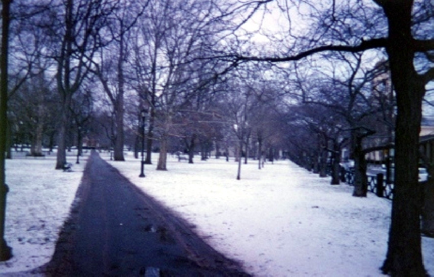 Wooster Square Park