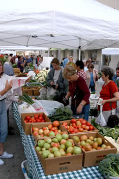 Main Street Market