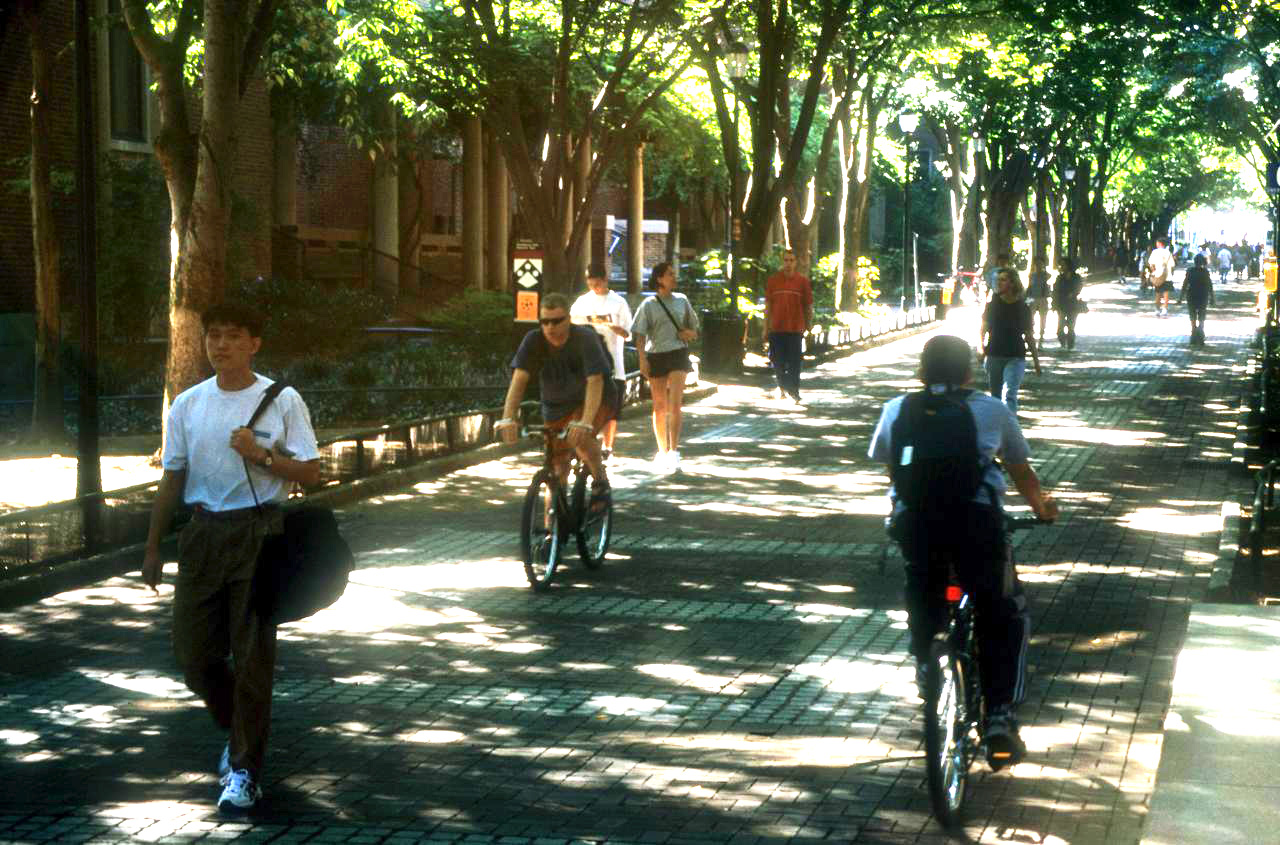 Upenn Campus Locust Walk
