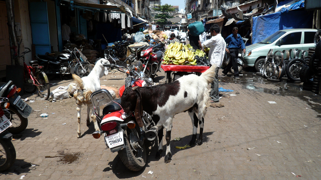 Chor Bazaar | Public Markets
