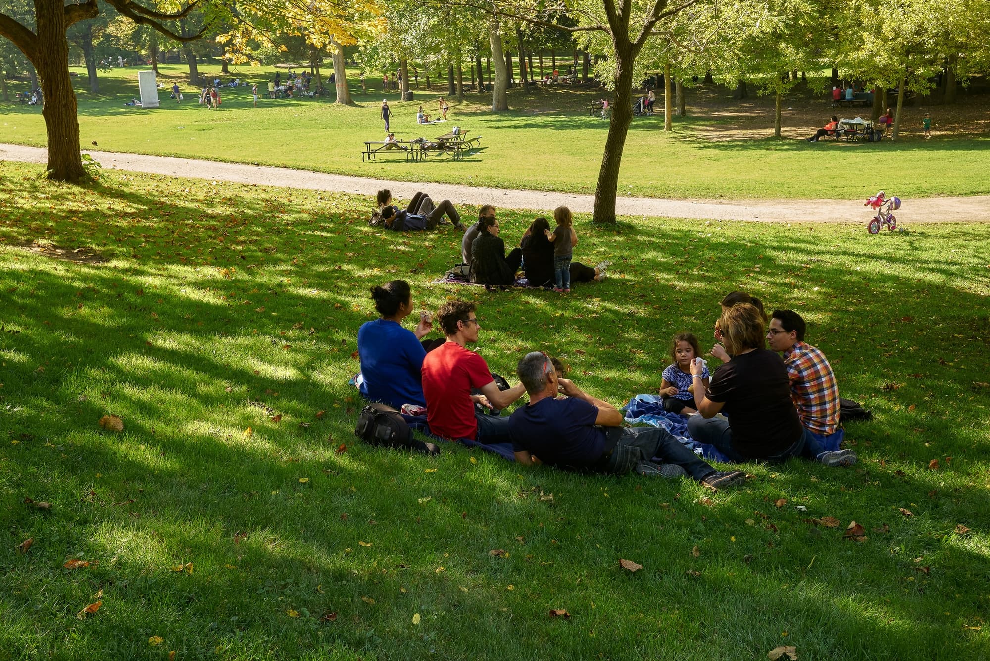 Parc du Mont-Royal | Parks