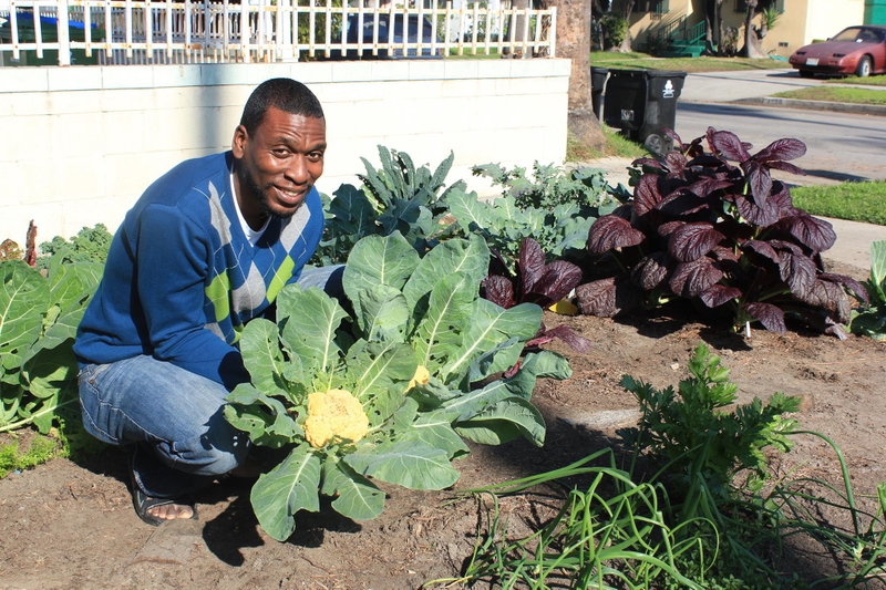 LA Green Grounds | Lighter Quicker Cheaper