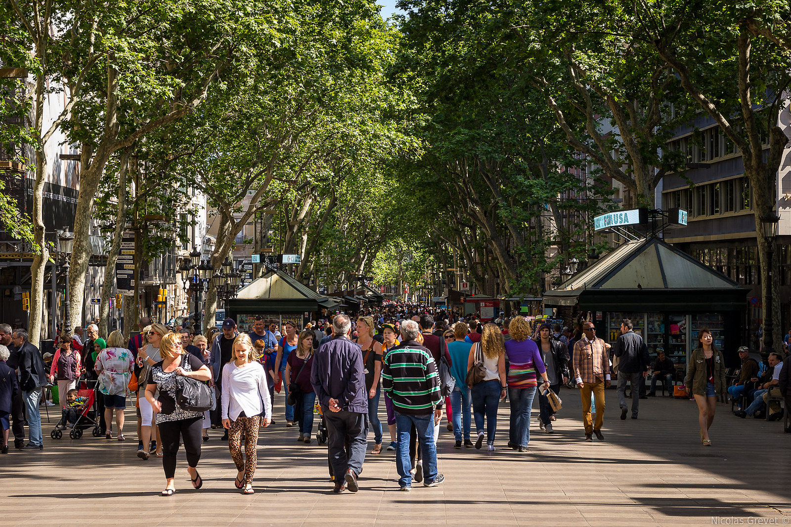 What Makes a Great Street? Tell us Here!