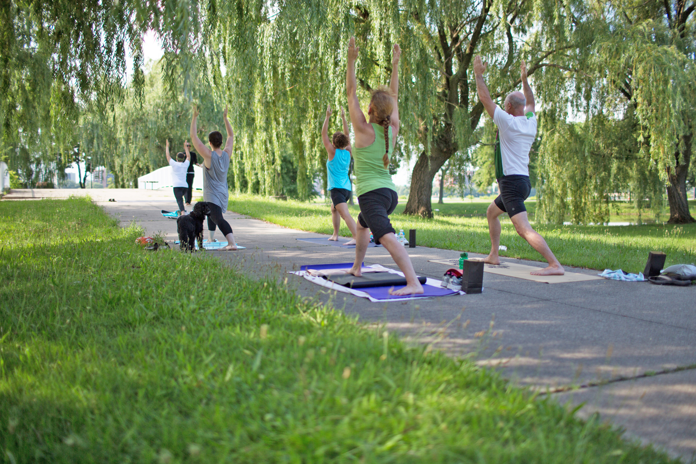 Announcing the PPS "Lighter, Quicker, Cheaper" Resource Page