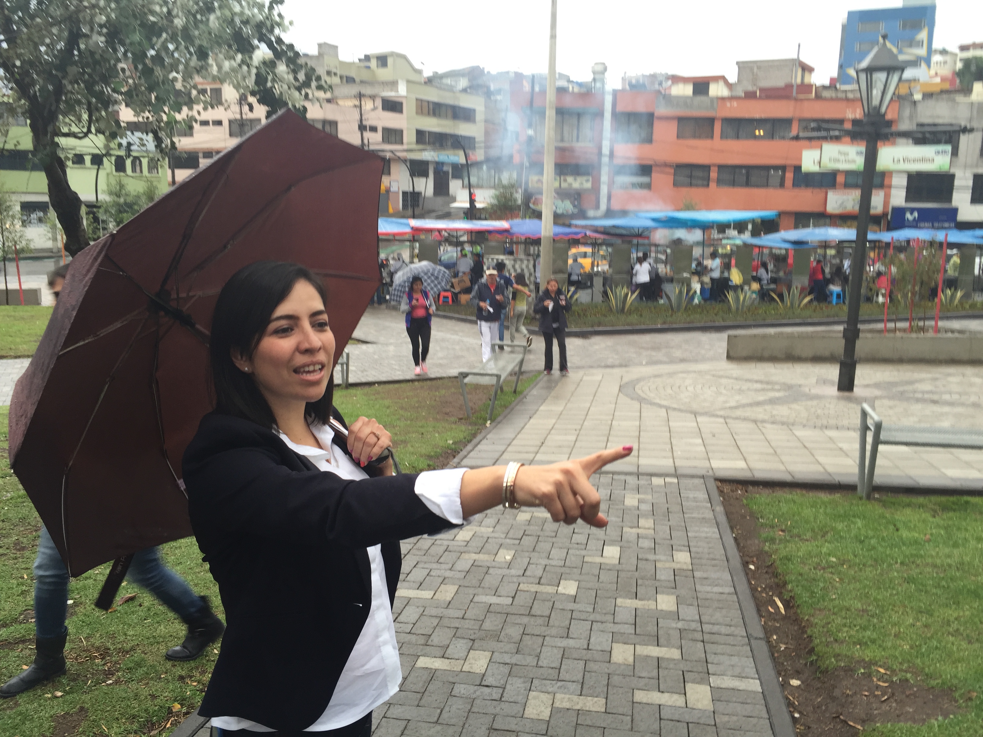 Harnessing Indigenous Andean Placemaking - "The Minga" - for the New ...