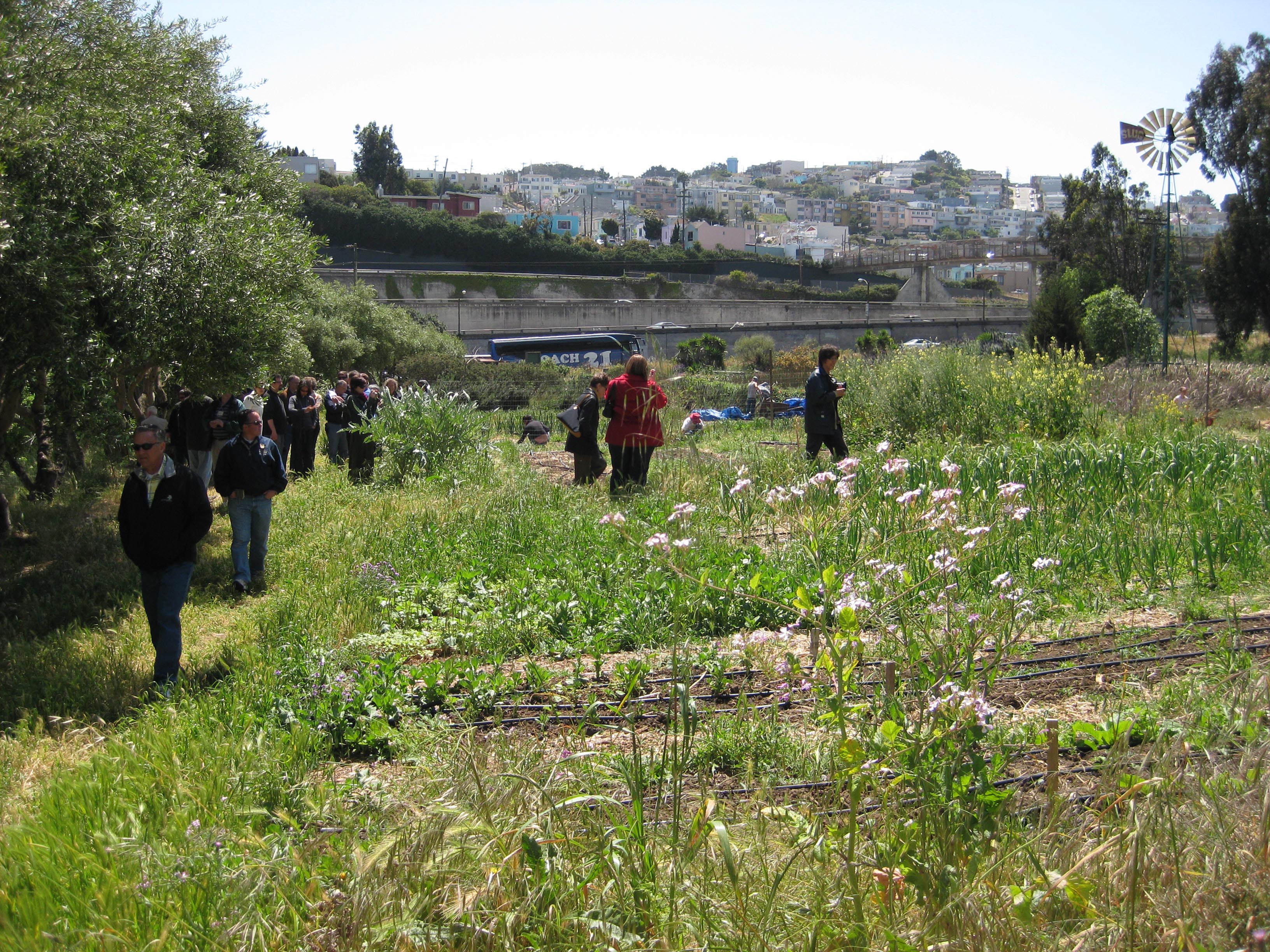 Markets Tour Spotlight: Alemany Farm