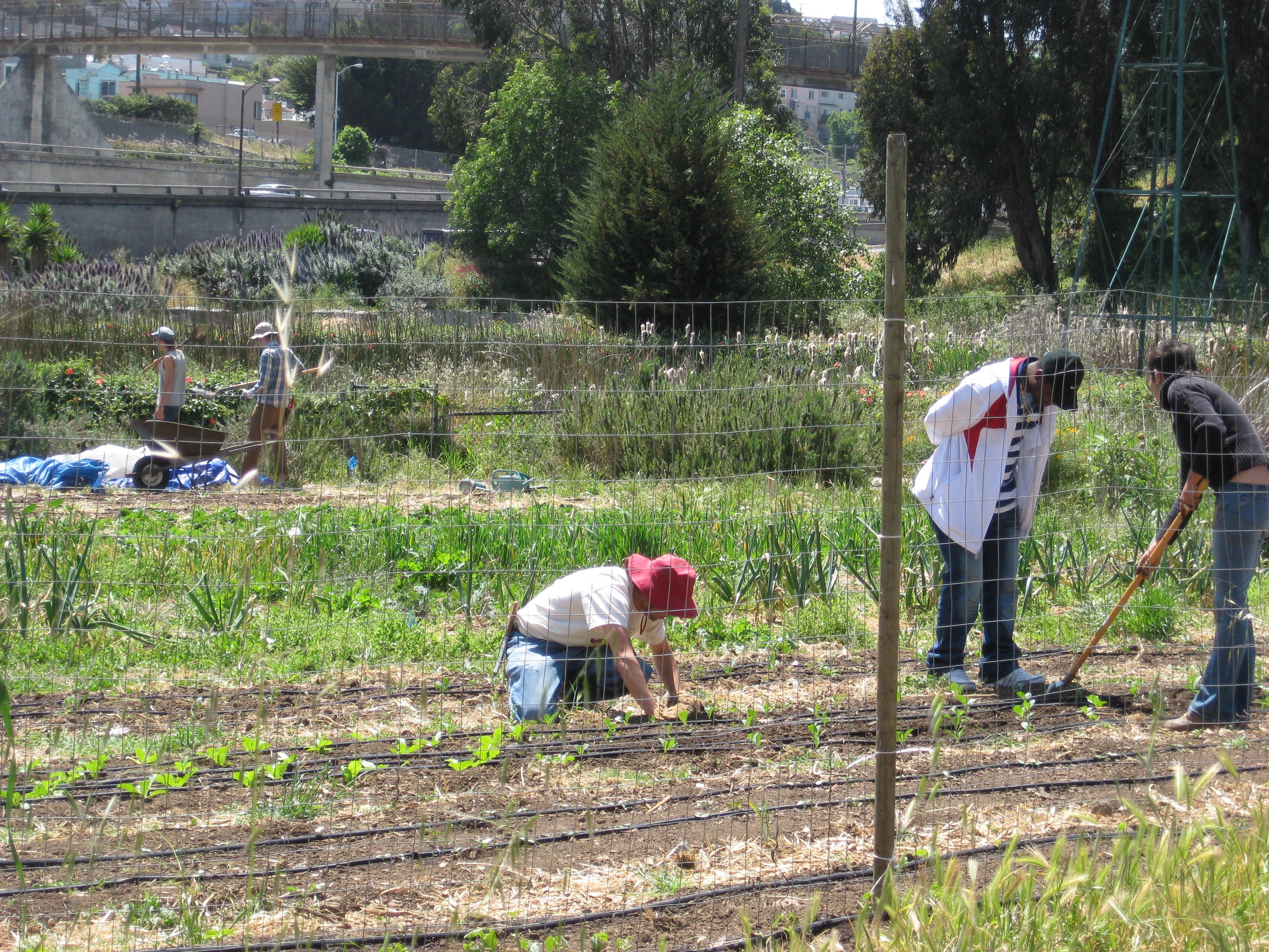 Markets Tour Spotlight: Alemany Farm