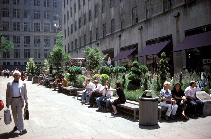 When Seeds Turn to Forests: Reflecting on 40 Years of Placemaking