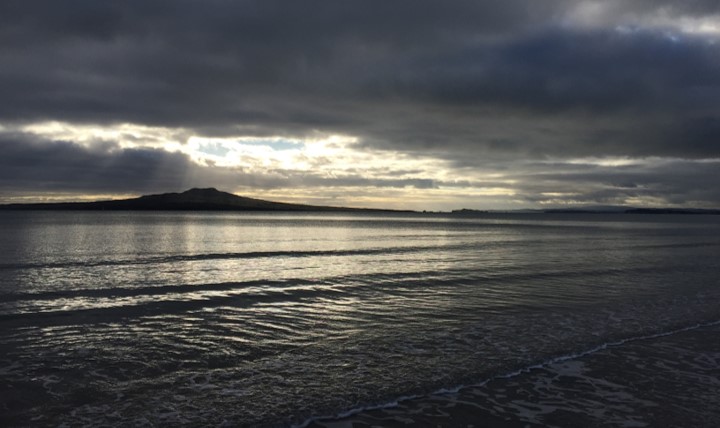 The Story of a New Zealand Placemaker: The Waitematā is my sea