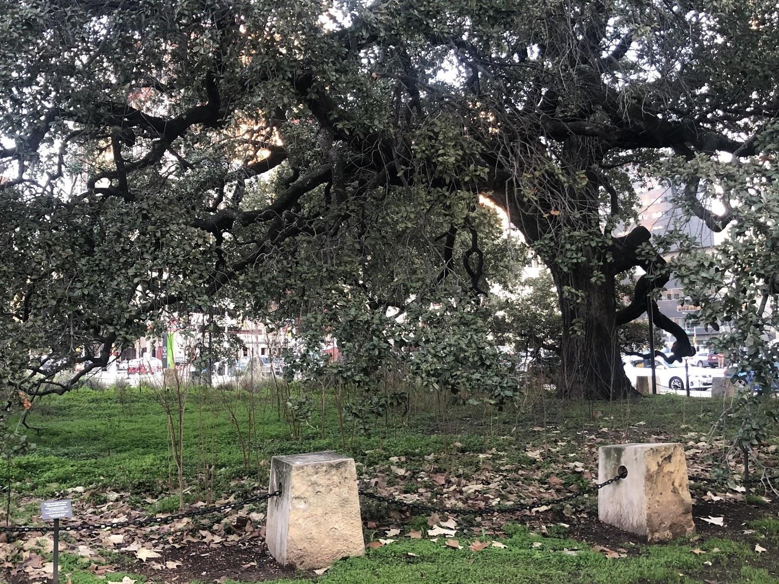 Republic Square | Projects — Project for Public Spaces