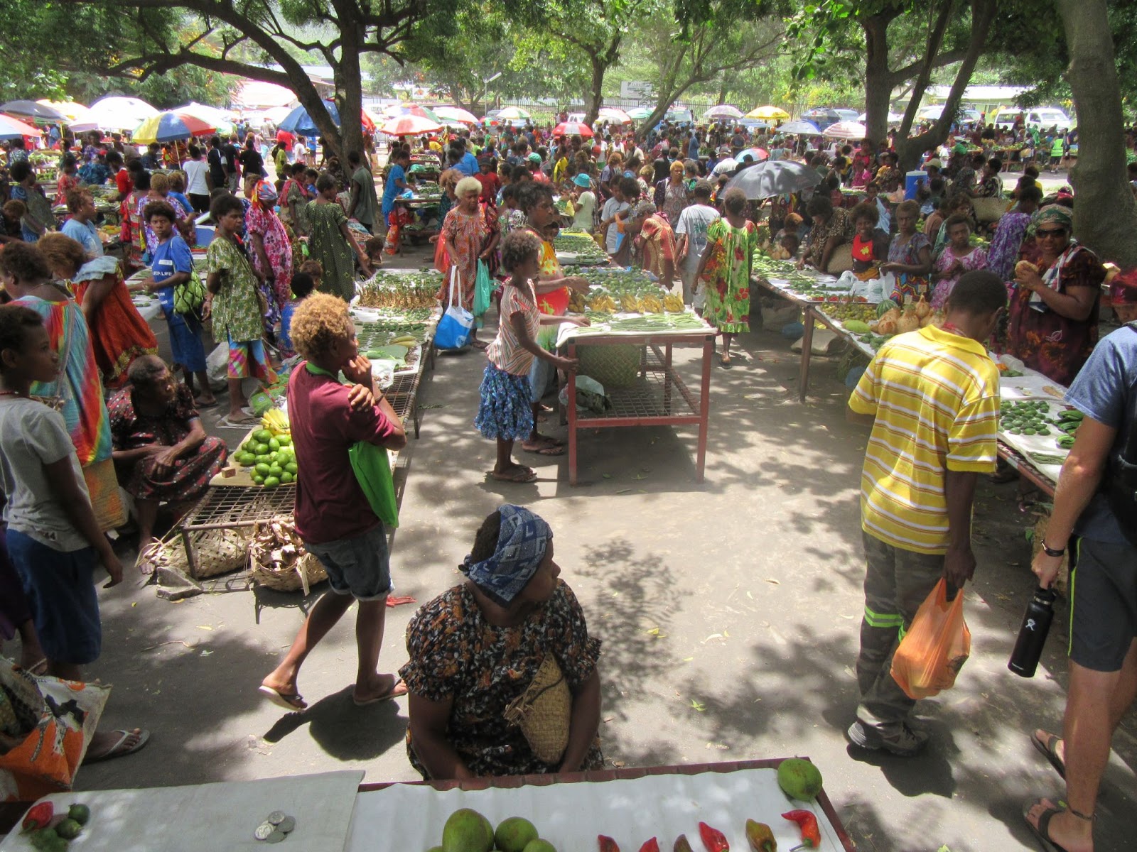 How to Operate a Sustainable Market: A Q&A with David K. O’Neil