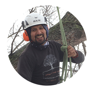 Princeton Tree Care - Premier Tree Service & Removal