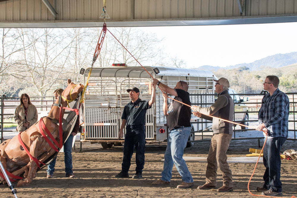 HALTER Project | Media Kit