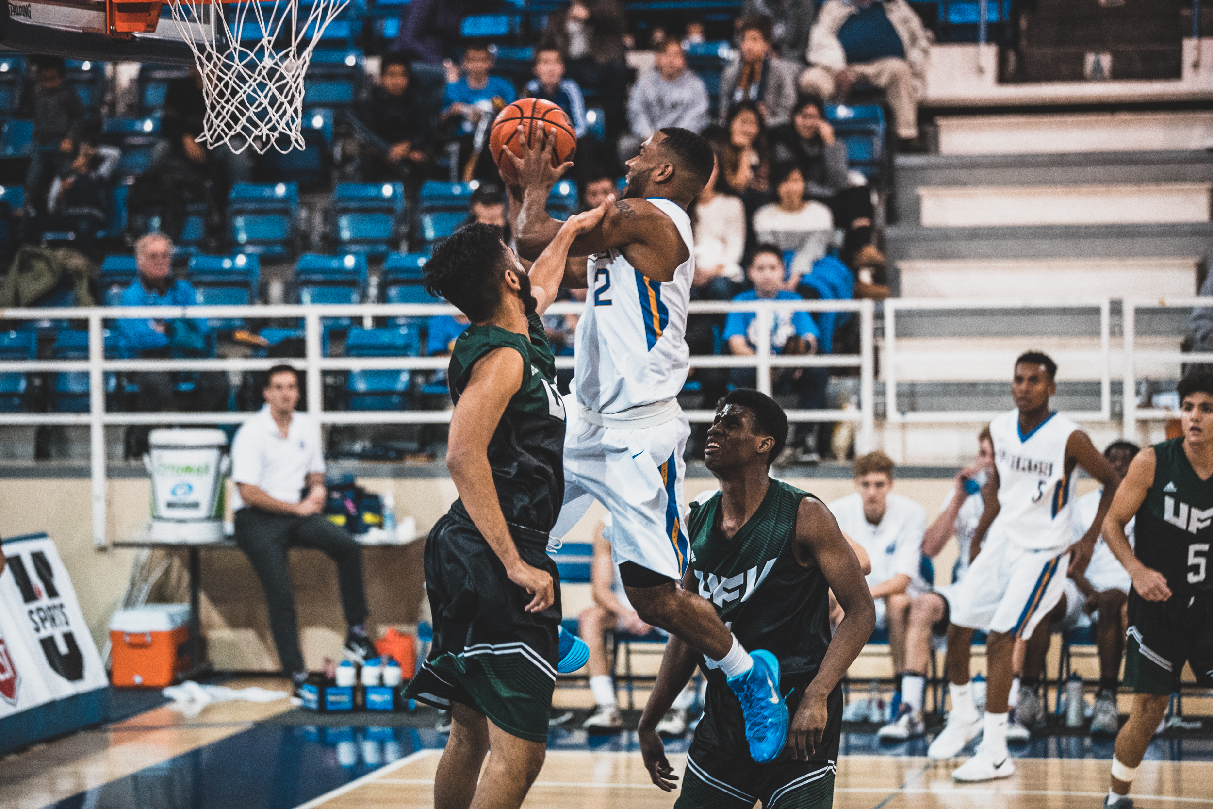 Vancouver Basketball